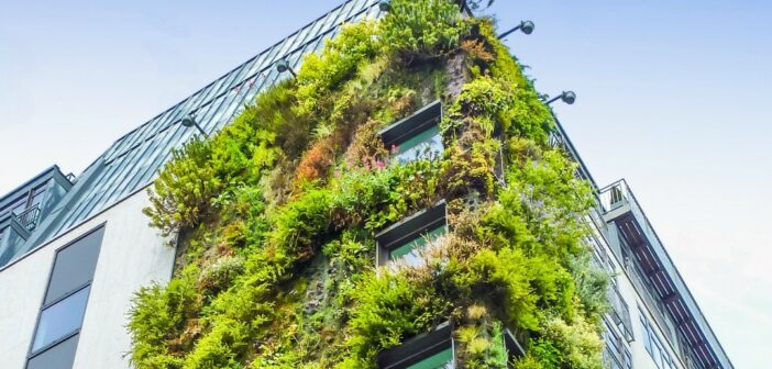 High-Rise Landscaping: Is it Sustainable and Feasible?